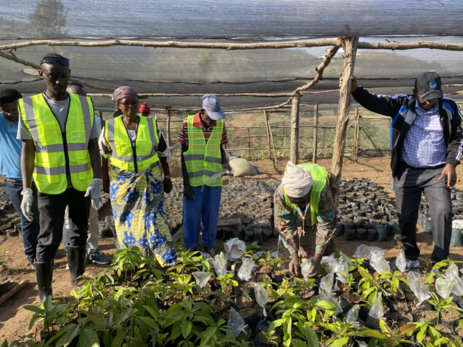 Projects – RUAF Urban Agriculture and Food Systems