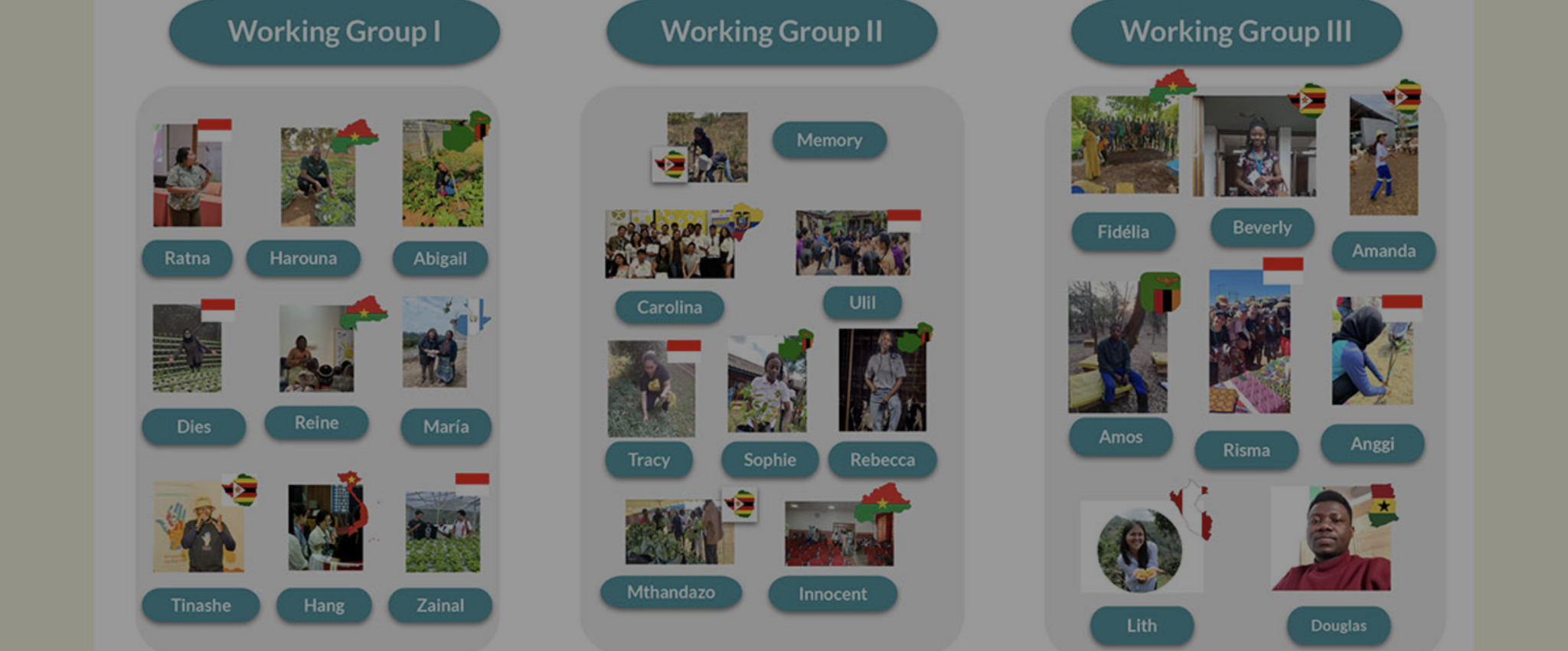 Homepage - RUAF Urban Agriculture and Food Systems