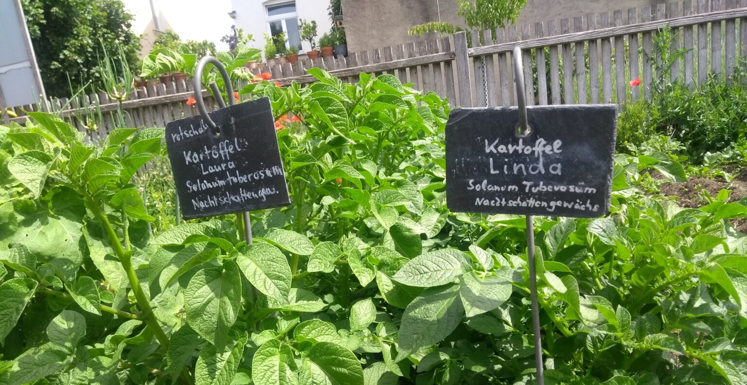 Homepage - RUAF Urban Agriculture and Food Systems