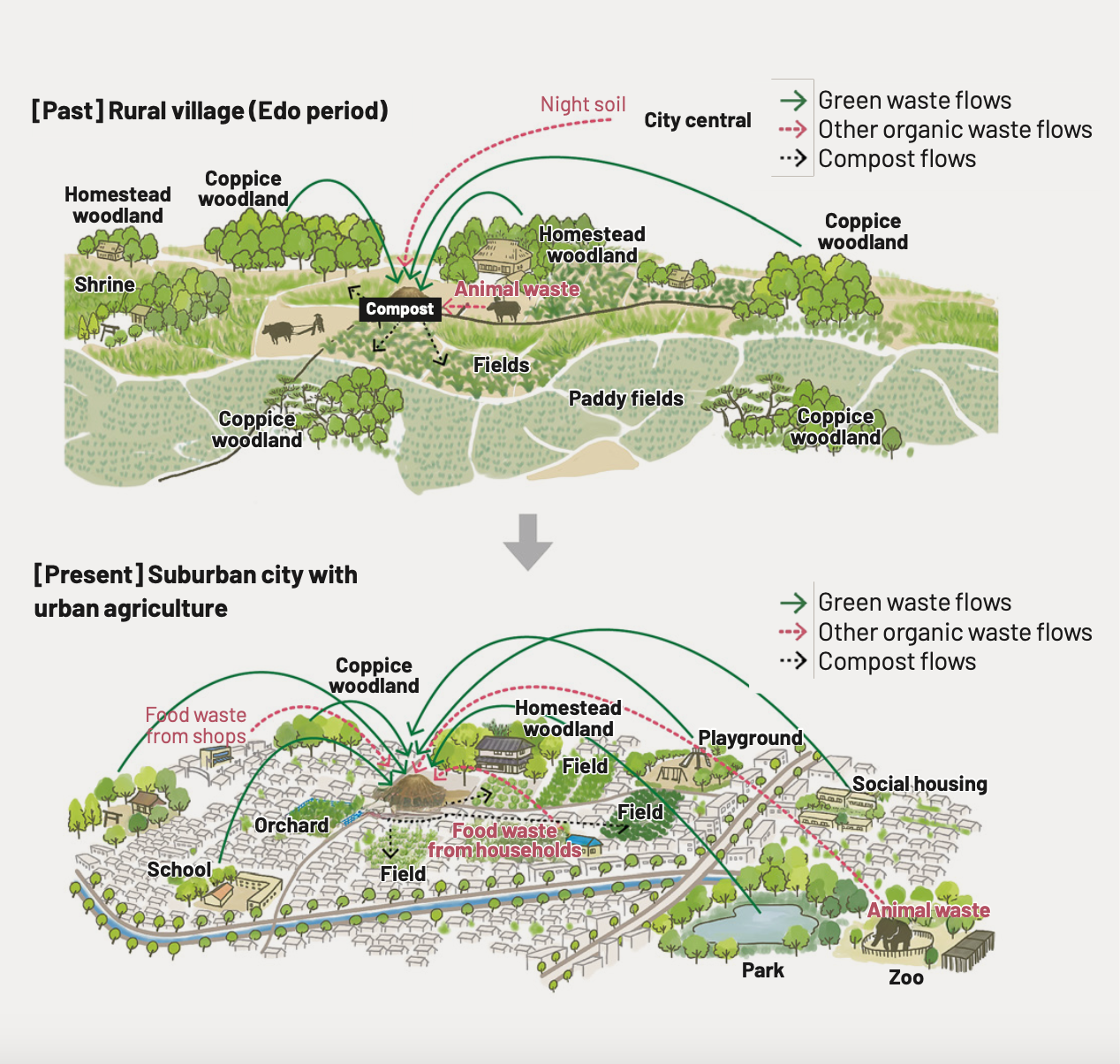 Urban satoyama: evolving circular food systems in Tokyo - RUAF Urban ...